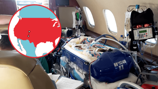 AirCARE1 Neonatal ECMO Patient Transport Case Study Featured in ITIJ ...
